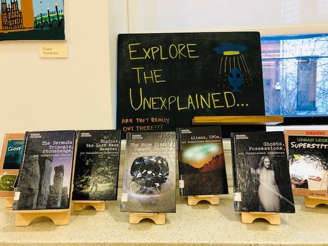 Middle School Library Services – manuela aronofsky